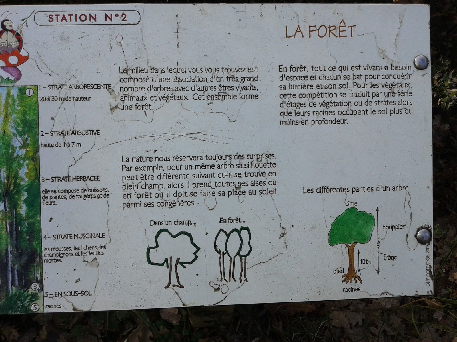 Bouconne les sentiers ornithologie, écologie, entomologie, muscinale ...