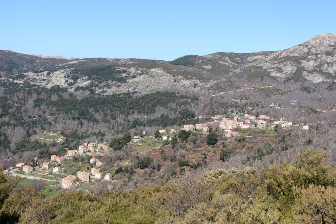 Une triste nouvelle - Le blog des Poggiolais