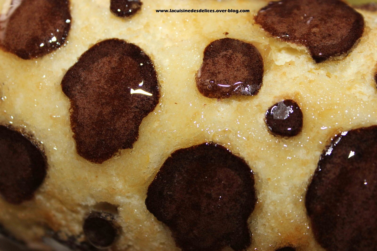 GÂTEAU ROULE PANTHÈRE AU CAFÉ - La cuisine des délices