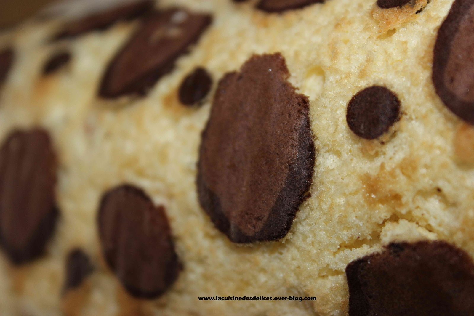 GÂTEAU ROULE PANTHÈRE AU CAFÉ - La cuisine des délices