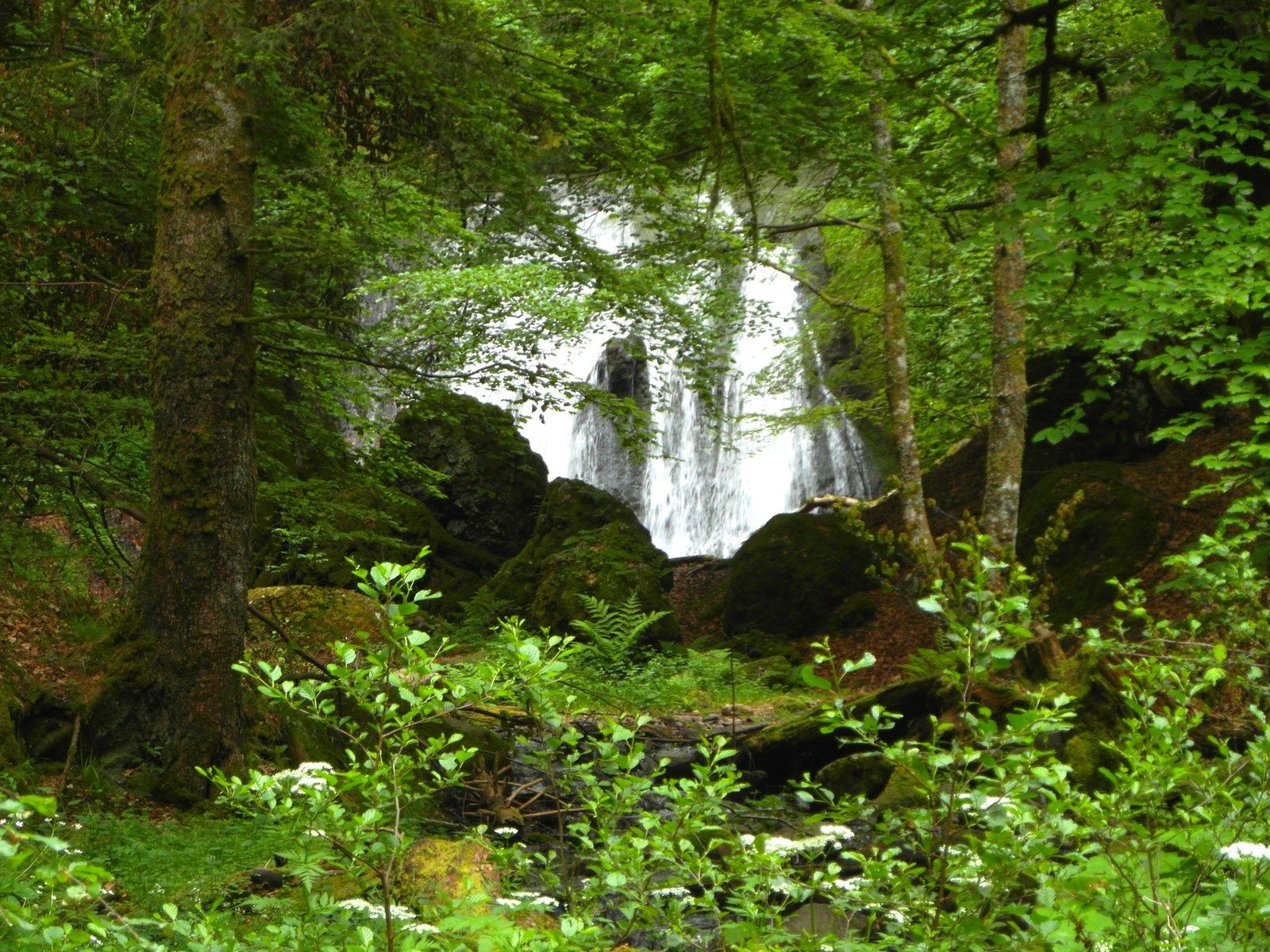Cascade de la Vernière et Ruisseau de Cliergue - Les Randos de Caco