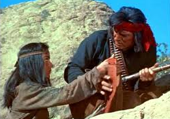 Bronco apache - Glandeur Nature