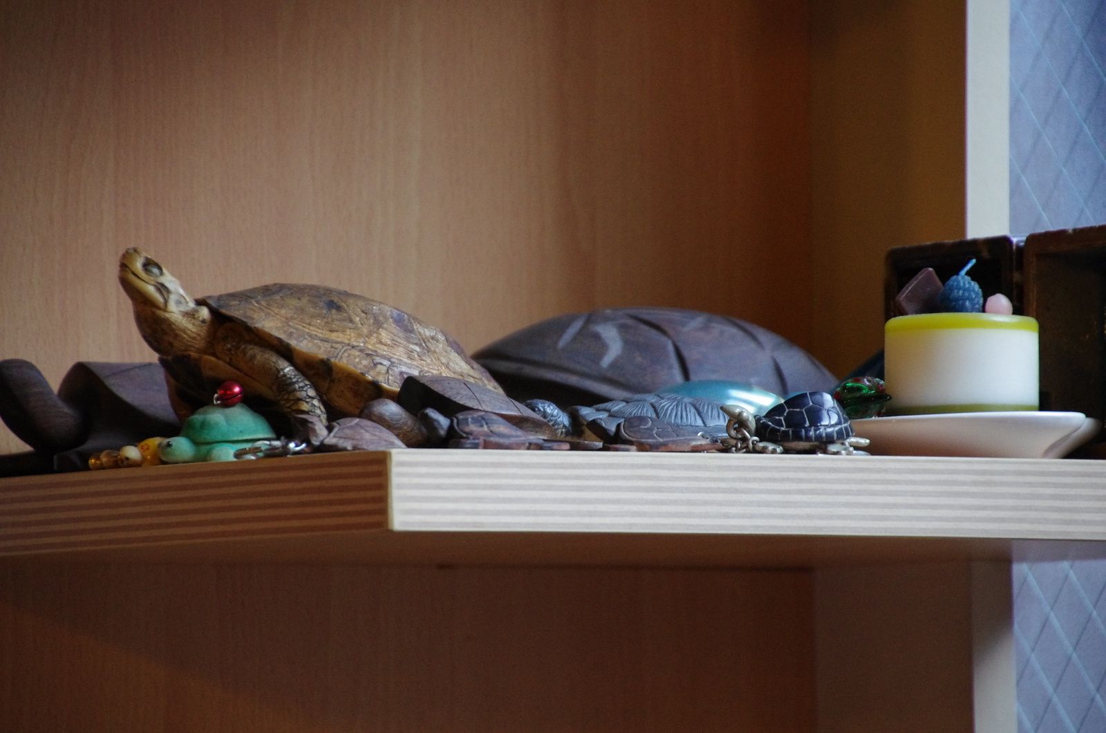 Turtle Inn Nikko - Back in Japan again