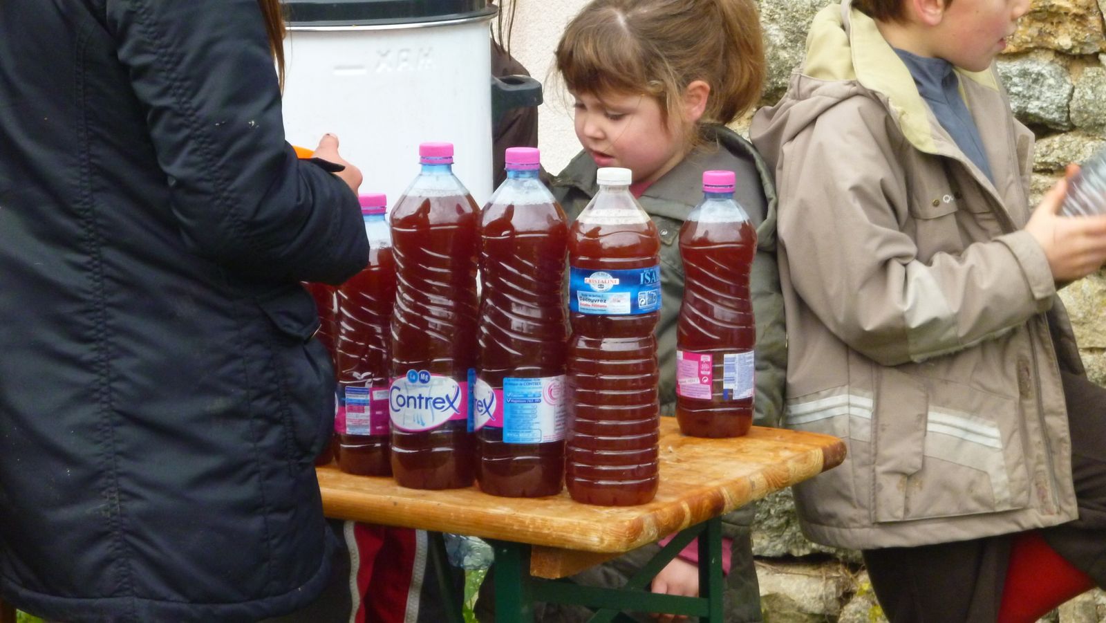 pommes et chataignes au feu - les-jardiniers-de-demain.over-blog.com