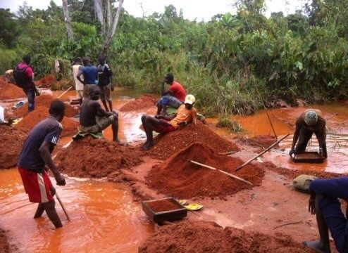 Morceau choisi de la nature à Makoua en République du Congo ! - congo ...