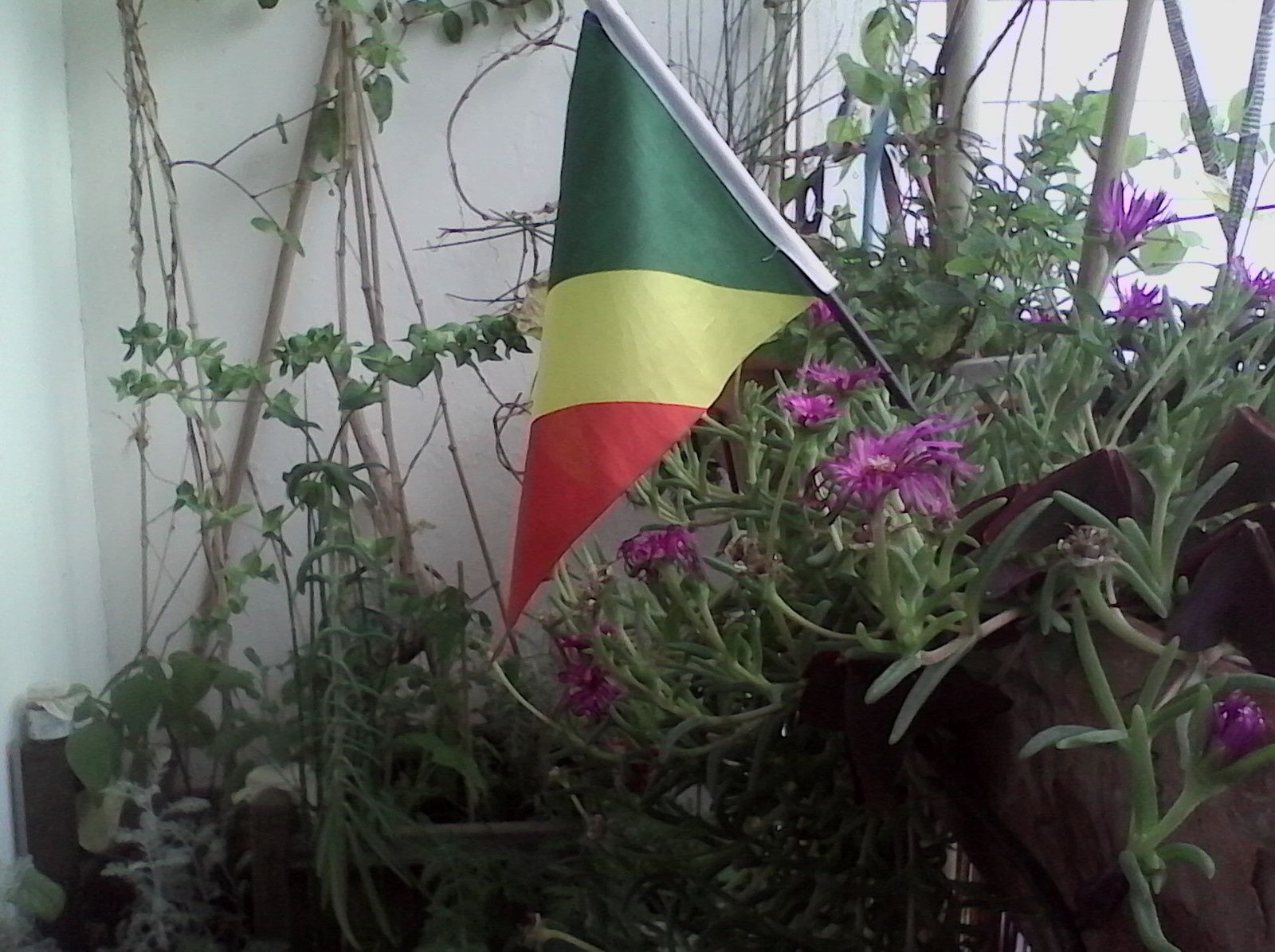 MUSIQUE DES ANNÉES 1950 A 1954 : HOMMAGE AUX PRÉCURSEURS DE LA RUMBA ...