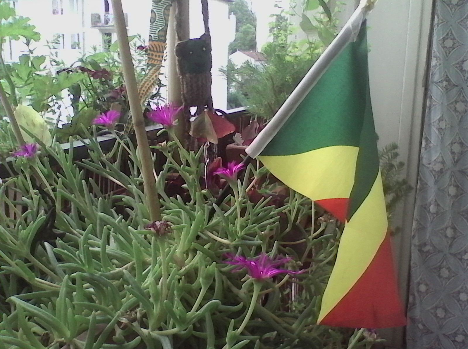 MUSIQUE DES ANNÉES 1950 A 1954 : HOMMAGE AUX PRÉCURSEURS DE LA RUMBA ...