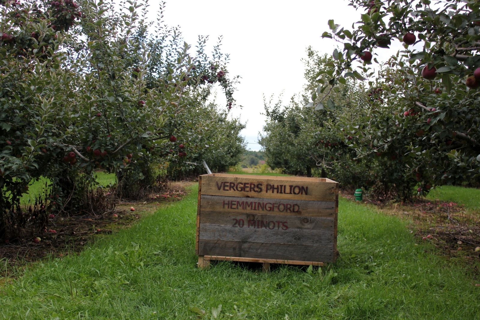 Journée à Hemmingford - Des Photos, des Voyages, mais surtout notre ...