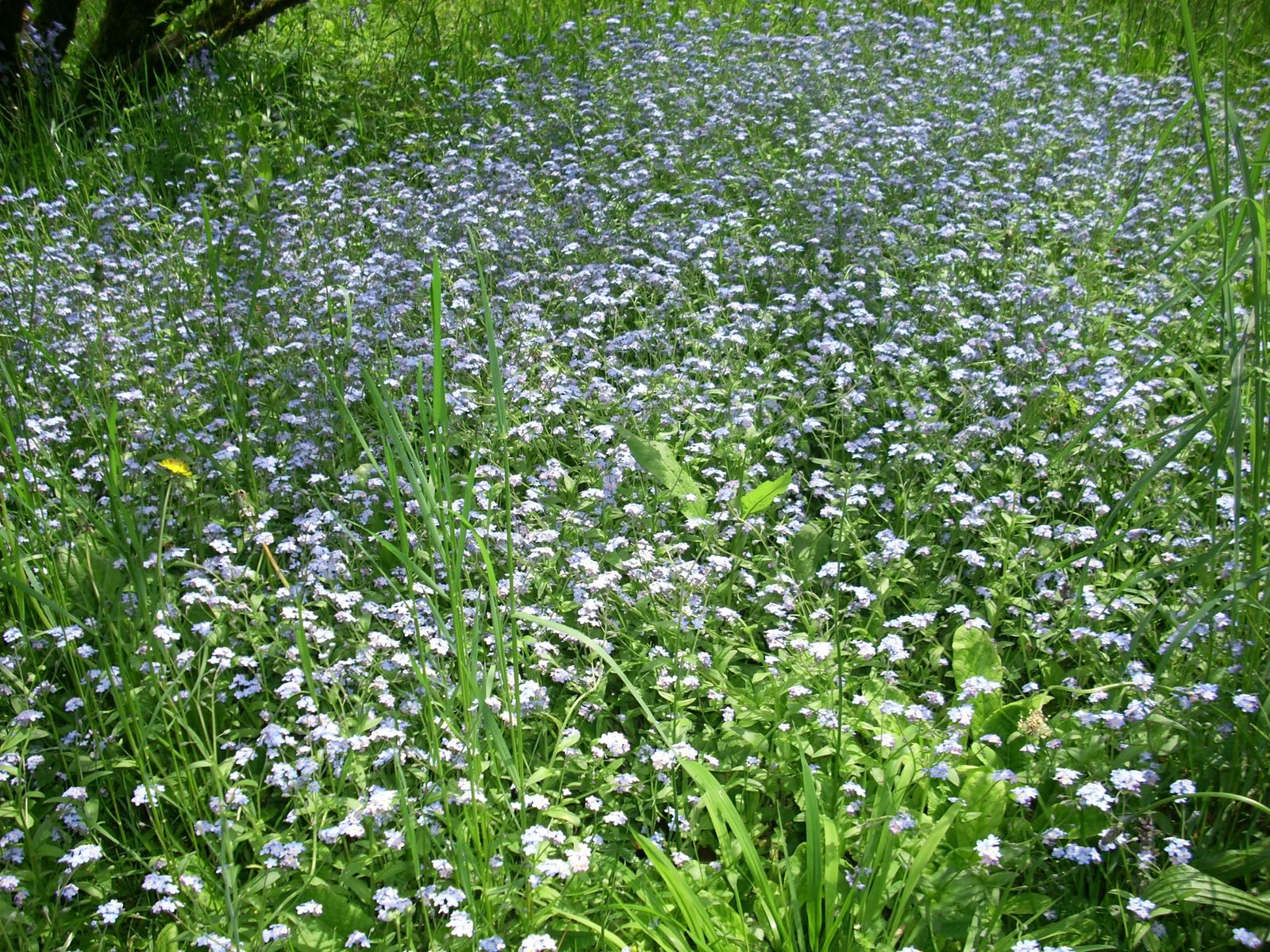 D comme donner - Littérature, poésies et autres créations de Danièle A..