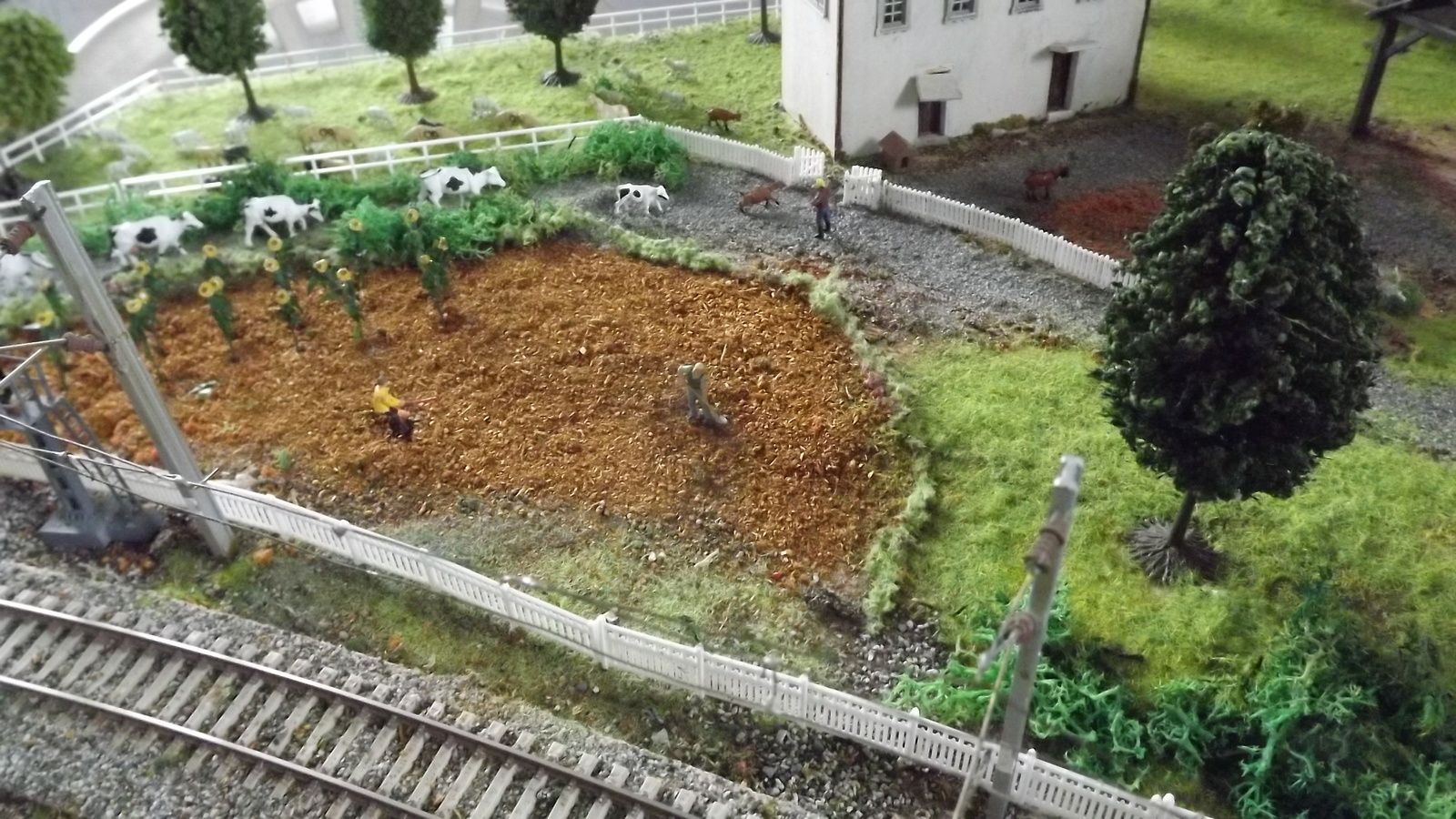 Le décors bien de chez nous - Le blog de museepierresemard