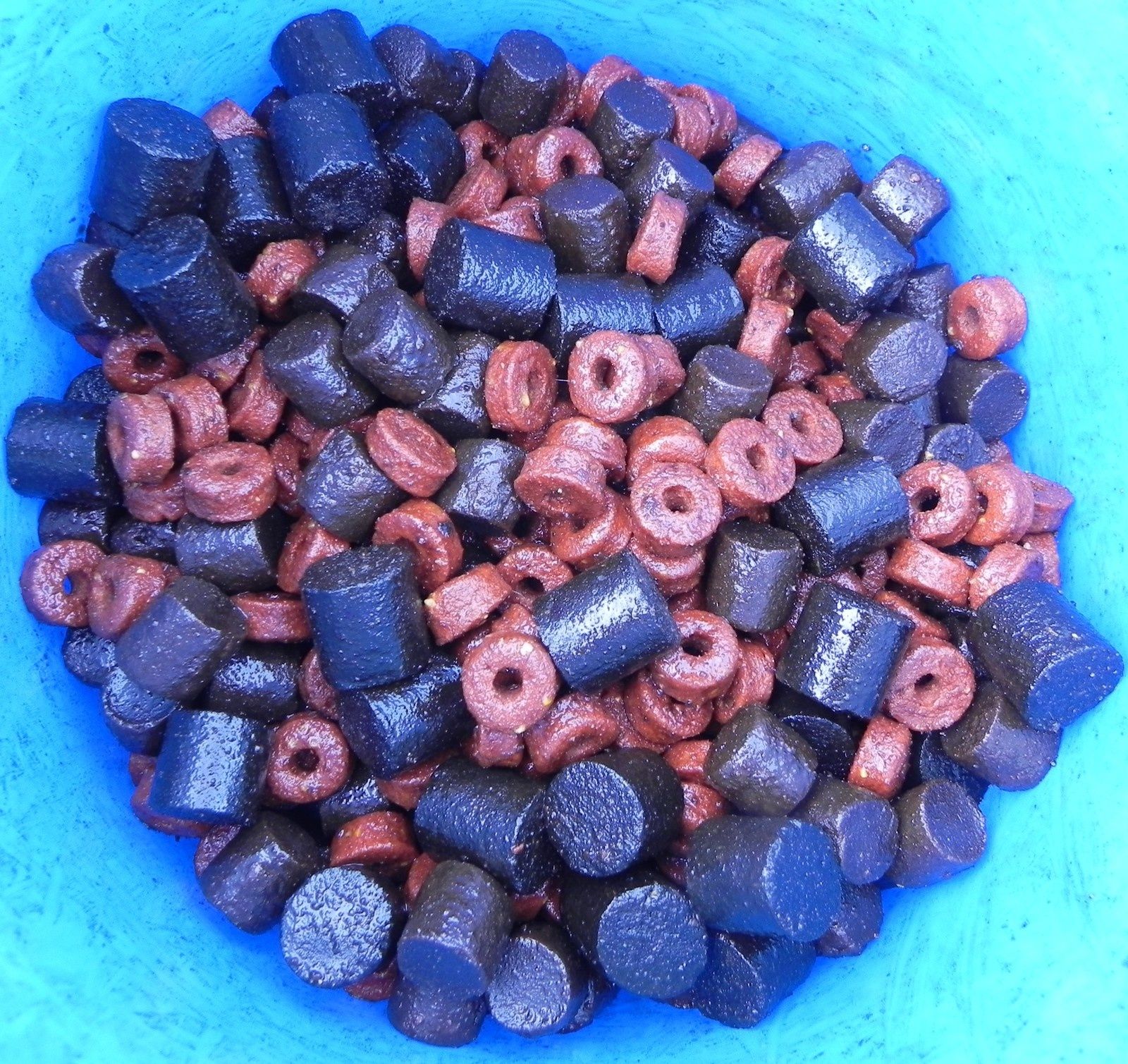 PÊCHE RAPIDE DU SILURE - Le blog de carpaventure11.over-blog.com