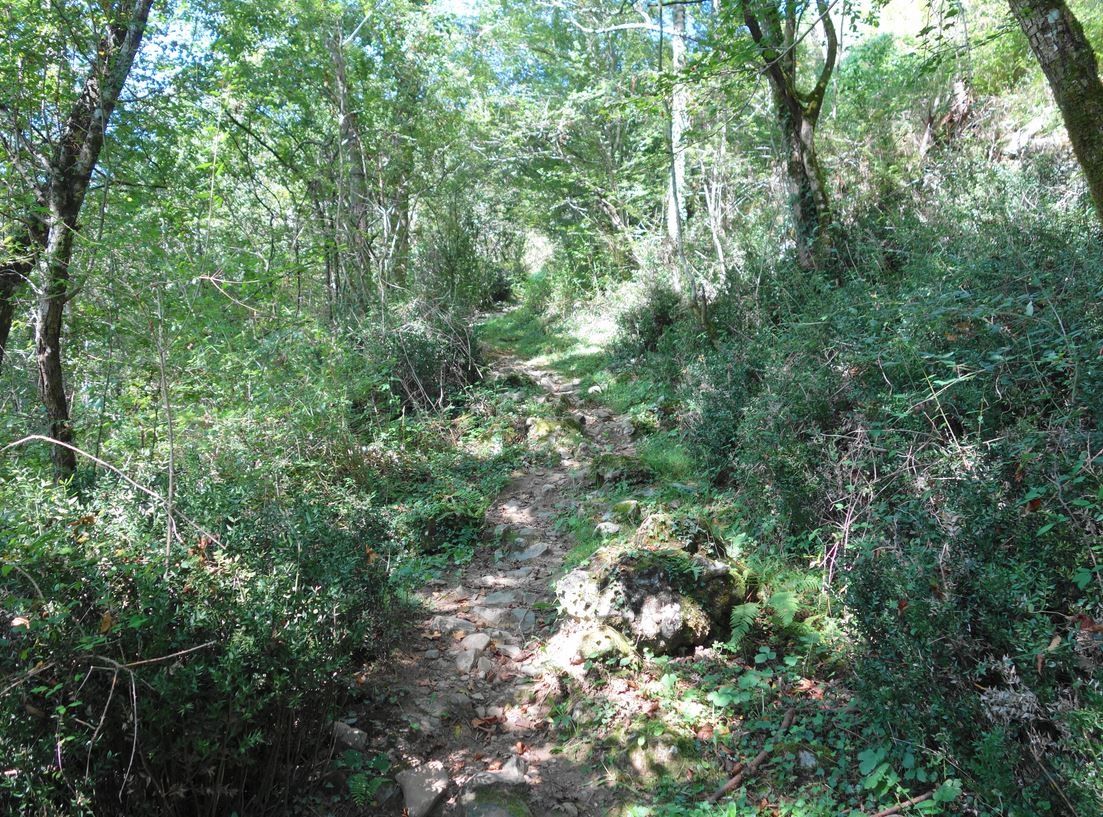 Chapeau de gendarme depuis Lichans Sunhar ( Pyrénées-Atlantiques 64 ...