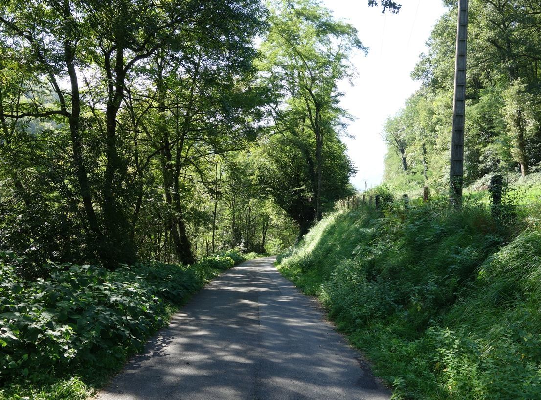 Chapeau de gendarme depuis Lichans Sunhar ( Pyrénées-Atlantiques 64 ...