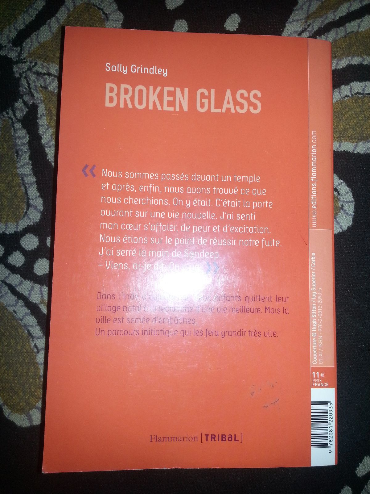 Broken Glass de Sally Grindley - RETROUVER LE SITE SUR INDE-EN-LIVRES.FR