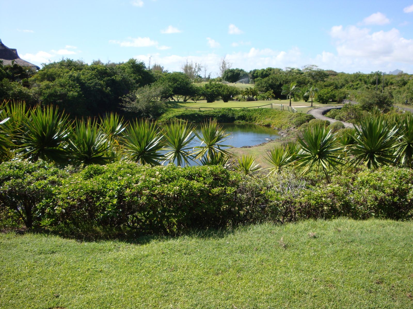 Dormant Volcano "Trou aux Cerfs" in Mauritius (PHOTOS) | BOOMSbeat