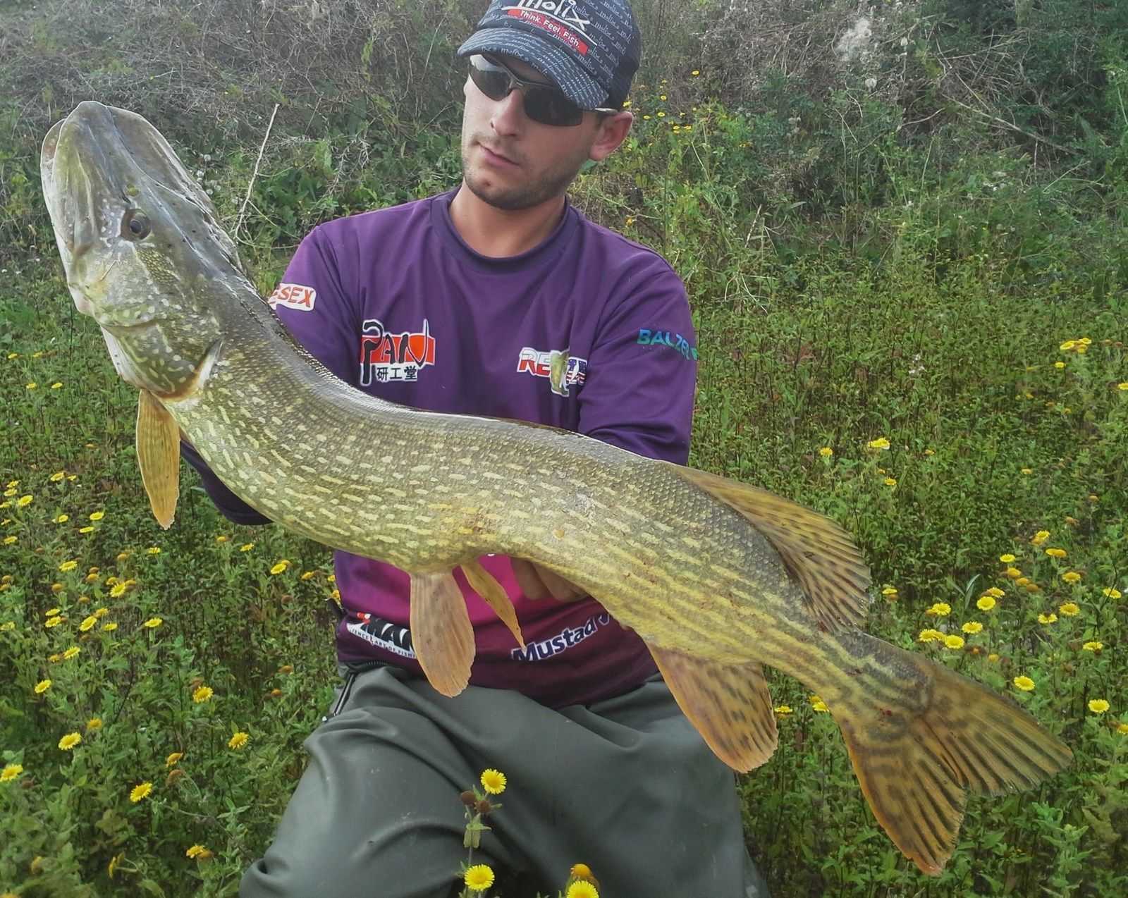3m82 en quatre brochets - Le blog de crazy-pike