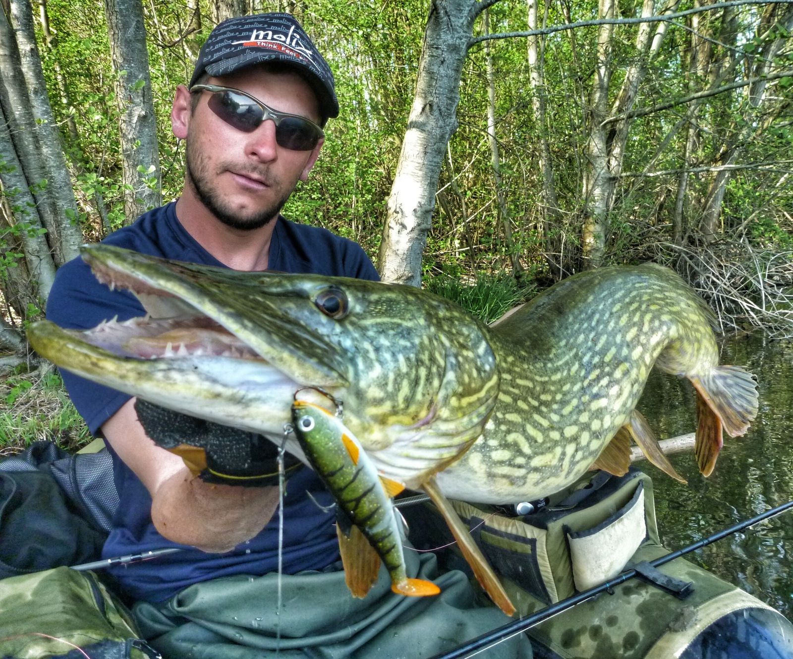 matos - Le blog de crazy-pike