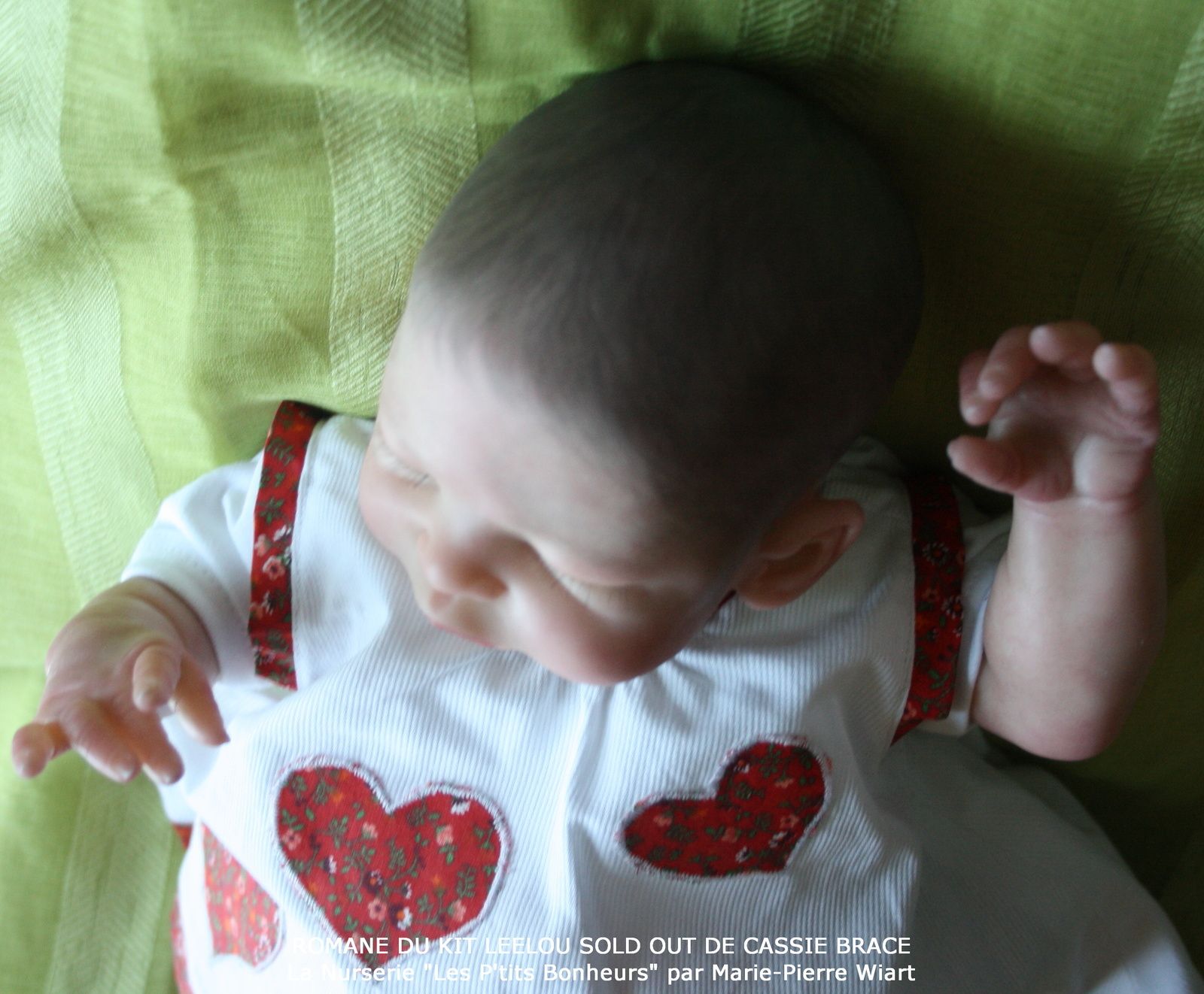 NAISSANCE DE ROMANE DU KIT LEELOU DE CASSIE BRACE SOLD OUT A ADOPTER - NURSERIE LES P'TITS ...