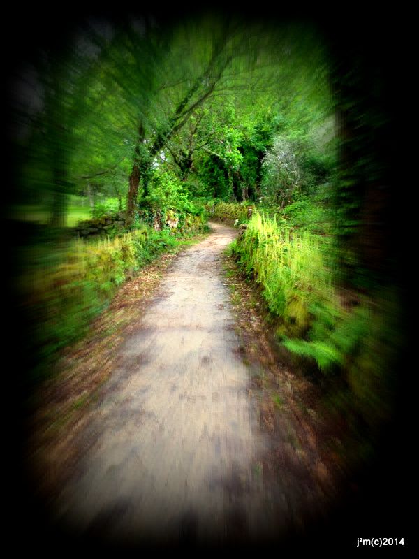 Avec la pensée du jour on partage sans modération ... LE BON CHEMIN ...