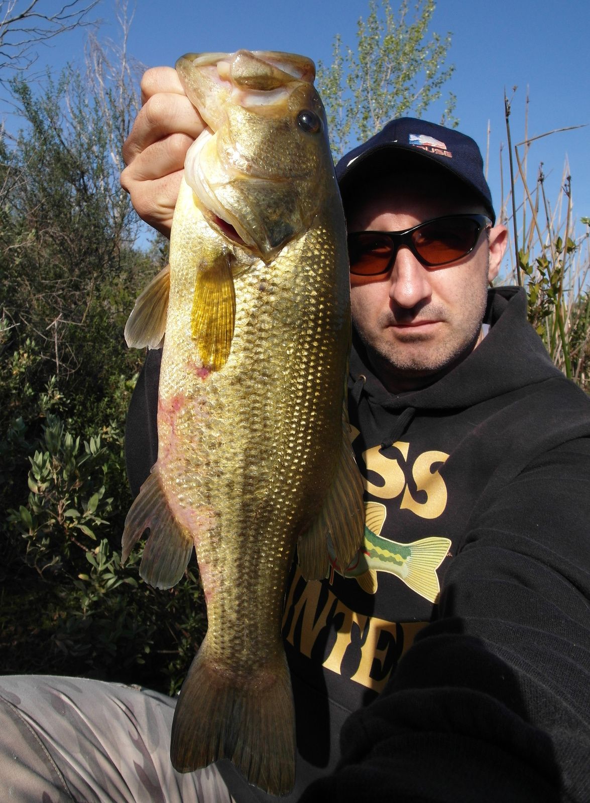 carp & bass ... - Bass-fishing-virus