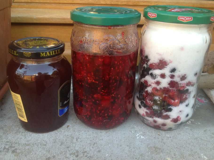 Sirop de fruit rouge maison - Le blog de la fermette Loubimaya