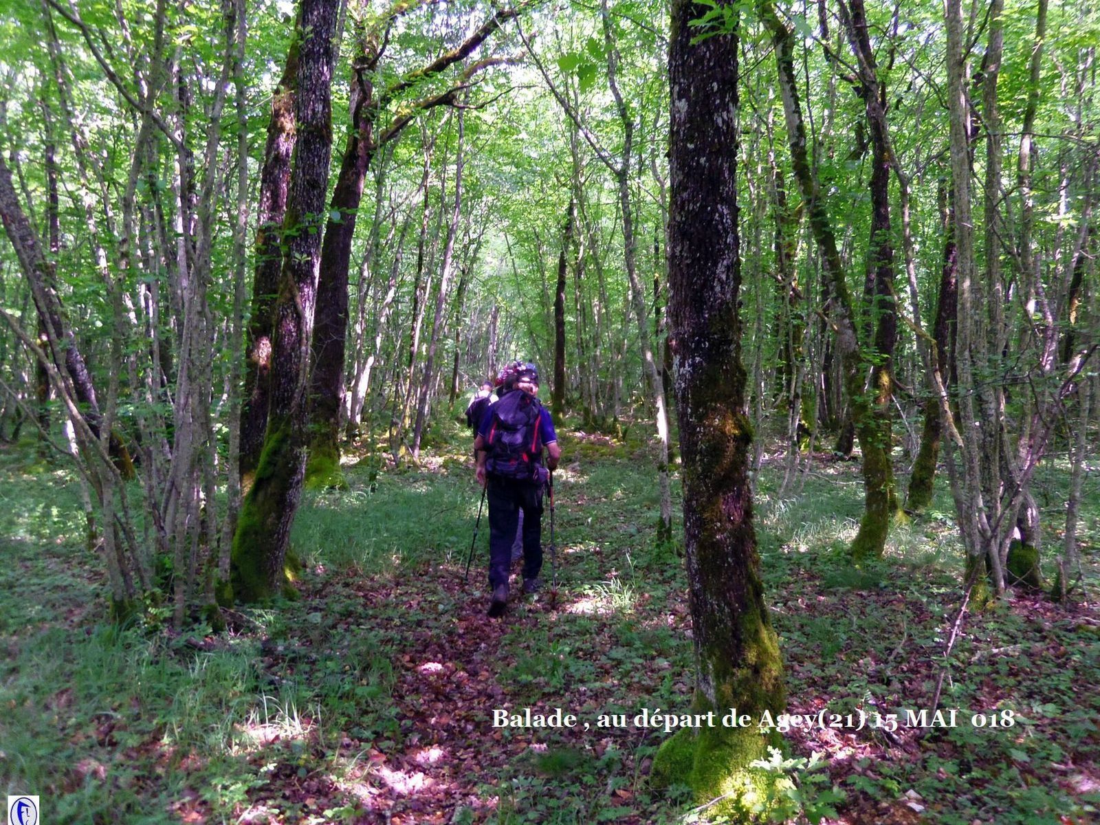 Balade autour D’AGEY - Association Fénay-Loisirs-Culture