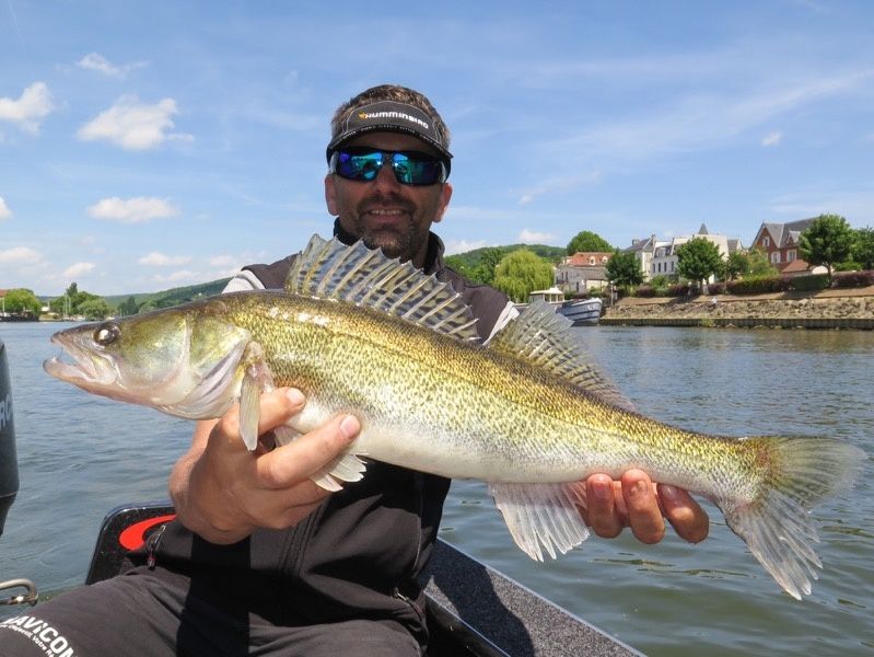 Seine, pêche au Sandre. - chevalier-fishteam.fr