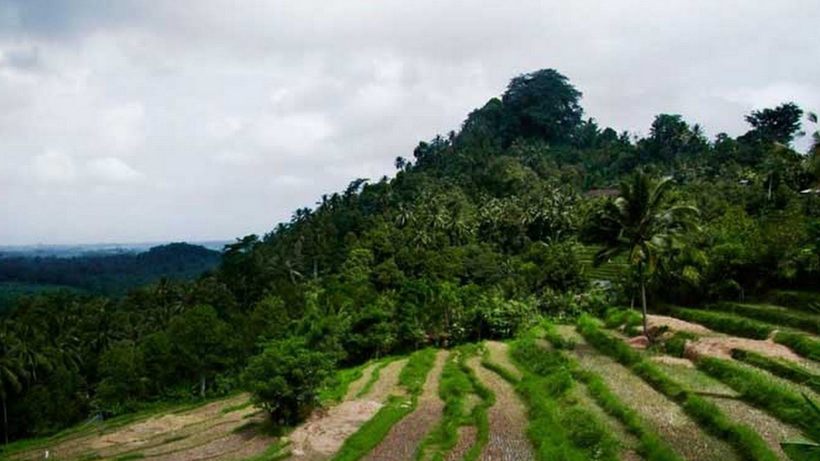 Blog sur Bali - Balibalik - Bukit Jambul Bali - région de Karangasem ...