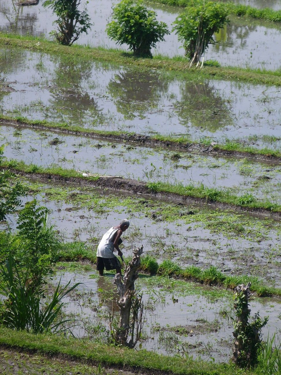 Bali, digne d'un petit paradis - Viens voyager avec nous
