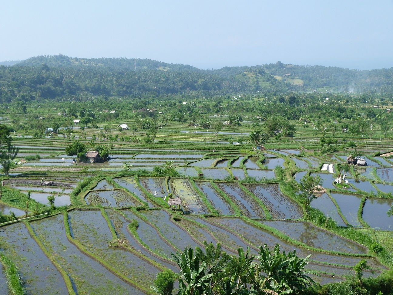 Bali, digne d'un petit paradis - Viens voyager avec nous