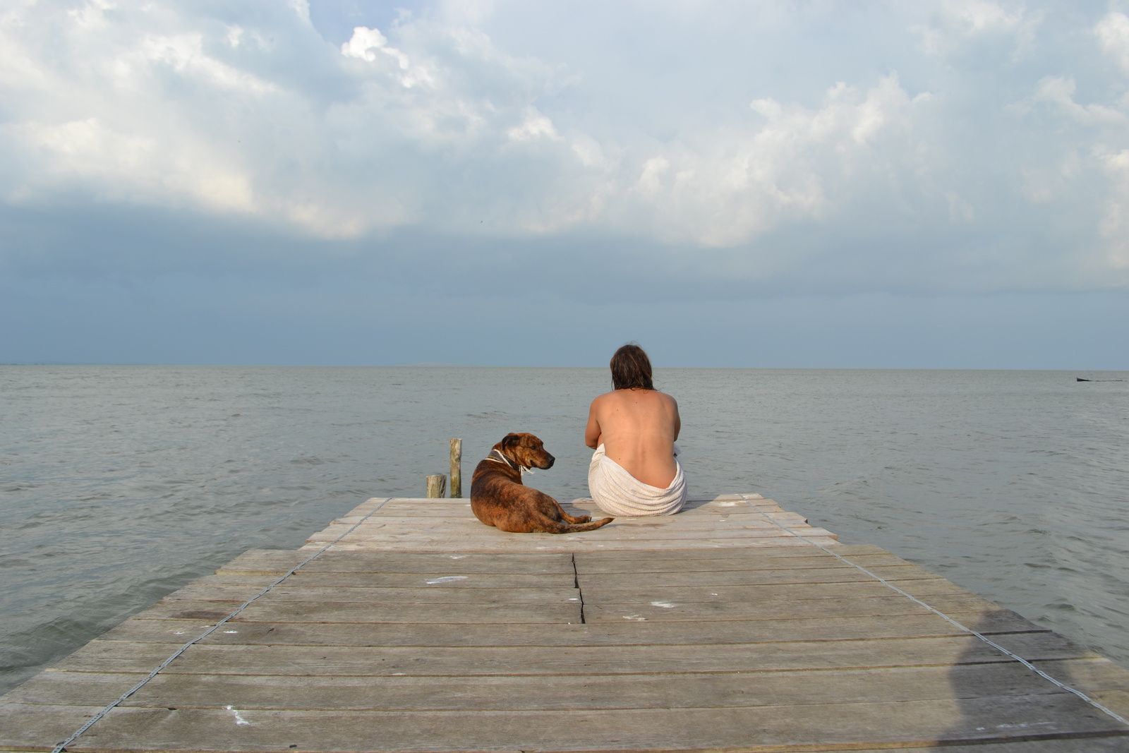 Tsiganes voyageurs et RoadTrip en stop. - ROULEZ JUMENTS