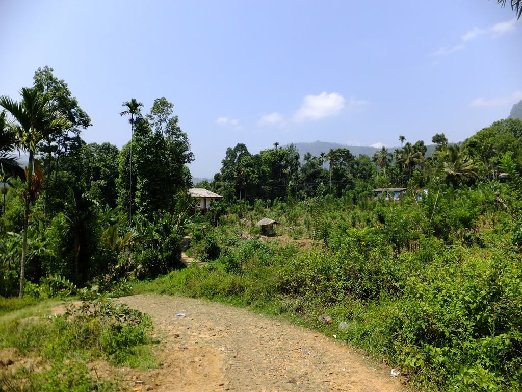 Ecolanka, paradis de l'écotourisme au Sri Lanka - En Asie et ailleurs