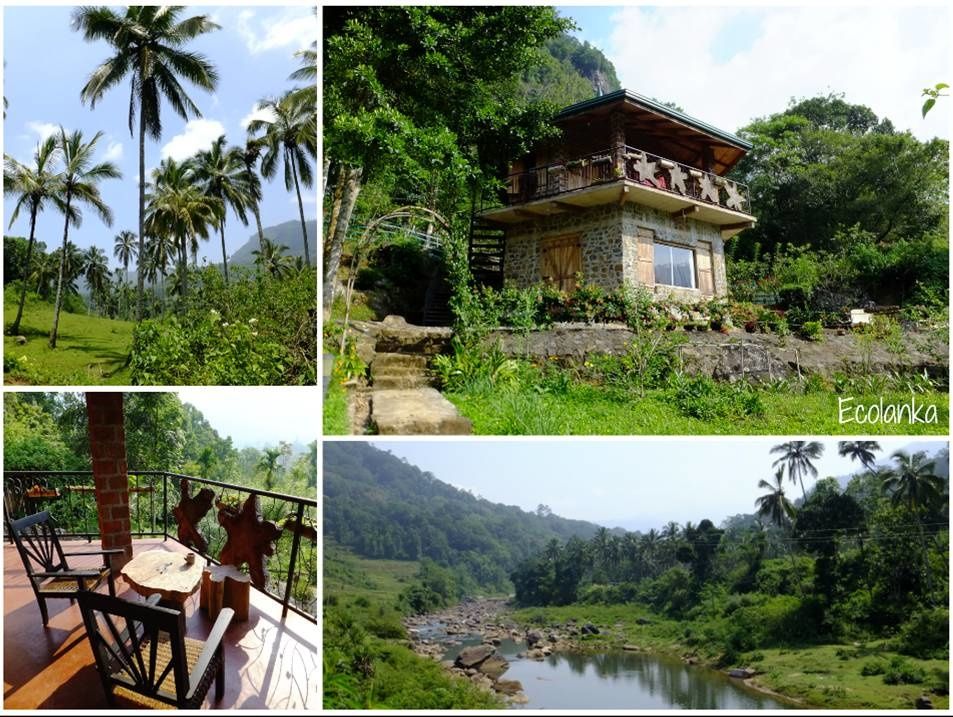 Ecolanka, paradis de l'écotourisme au Sri Lanka - En Asie et ailleurs