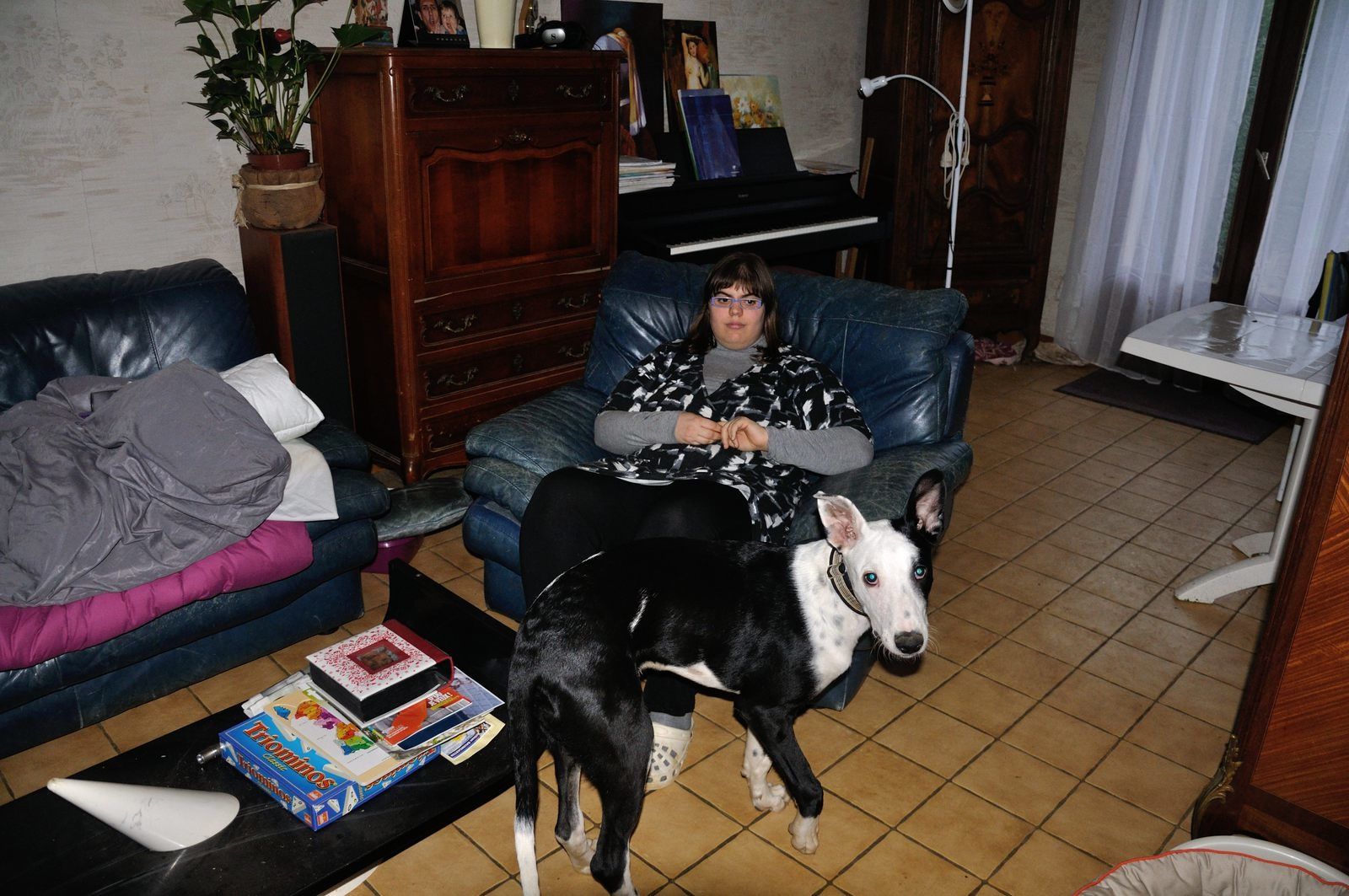 Des nouvelles de bébé KING ... - Defense-des-levriers-en-paysdeloire ...