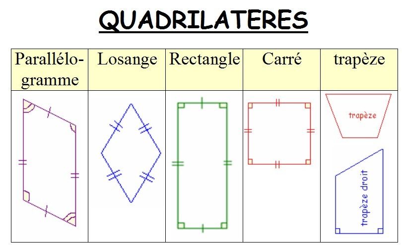 Affichage de quadrilatères - La Classe de Myli Breizh