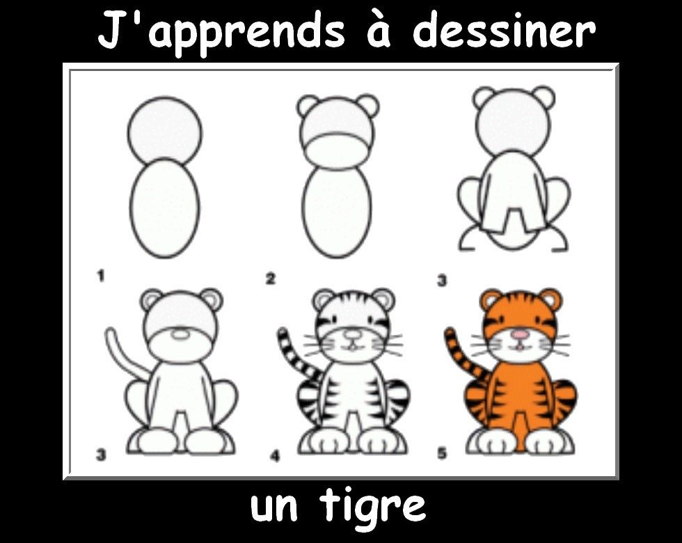 Des fiches j'apprends à dessiner les animaux - La Classe de Myli Breizh