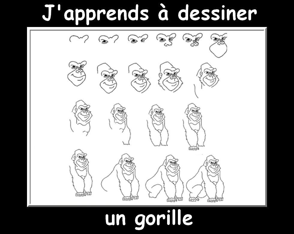 J'apprends à dessiner les animaux ... encore! - La Classe de Myli Breizh