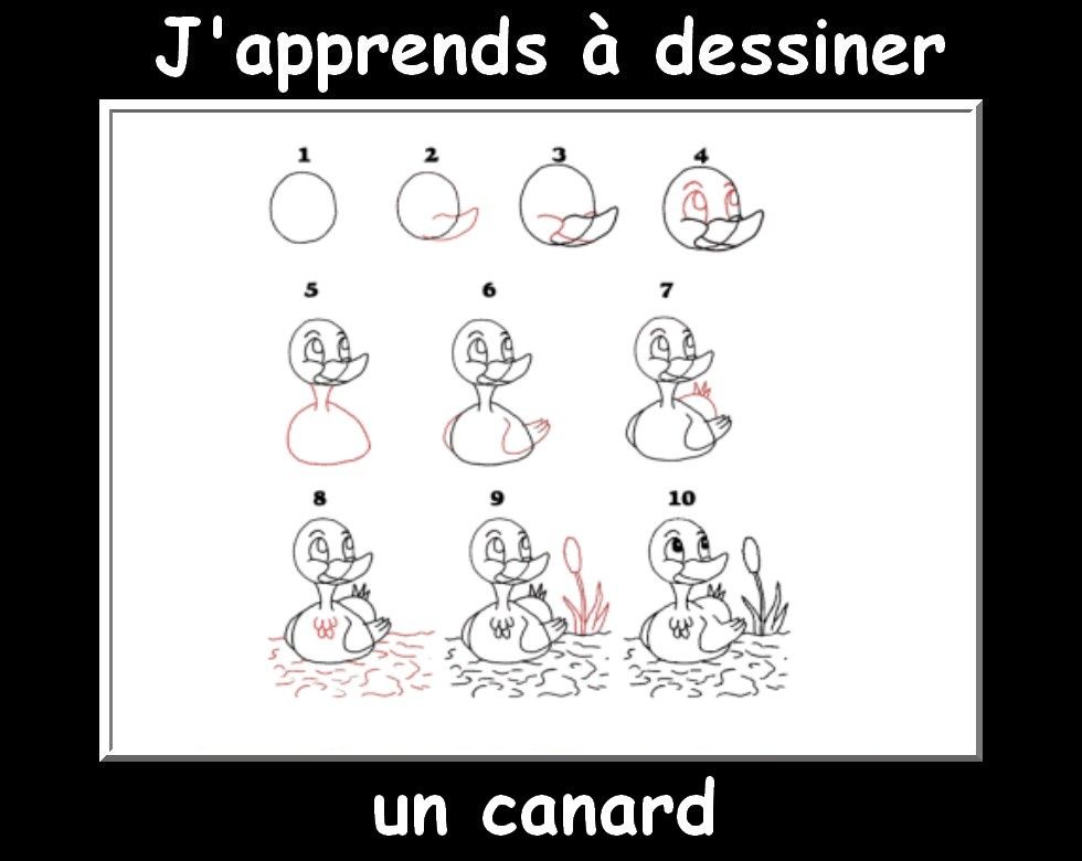 J'apprends à dessiner les animaux ... encore! - La Classe de Myli Breizh
