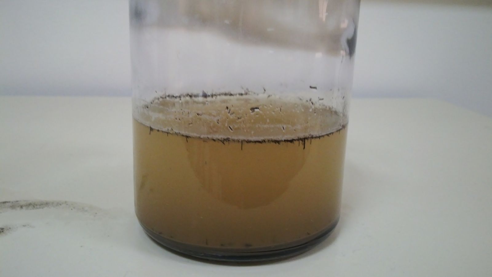 Sciences: (2) La décantation - Le CM1 d'Azal