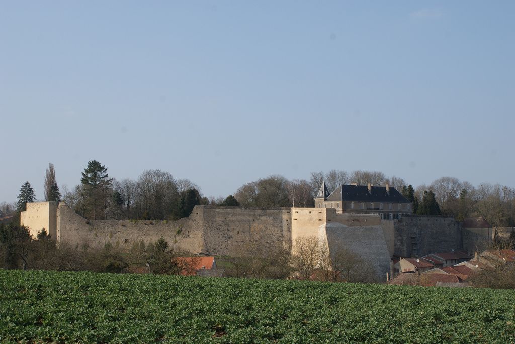 Historique de la cité médiévale et de sa citadelle - RODEMACK INFOS