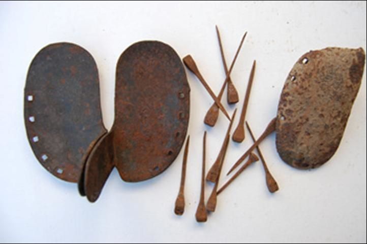 Le ferrage des vaches ou des bœufs - L'Auvergne Vue par Papou Poustache