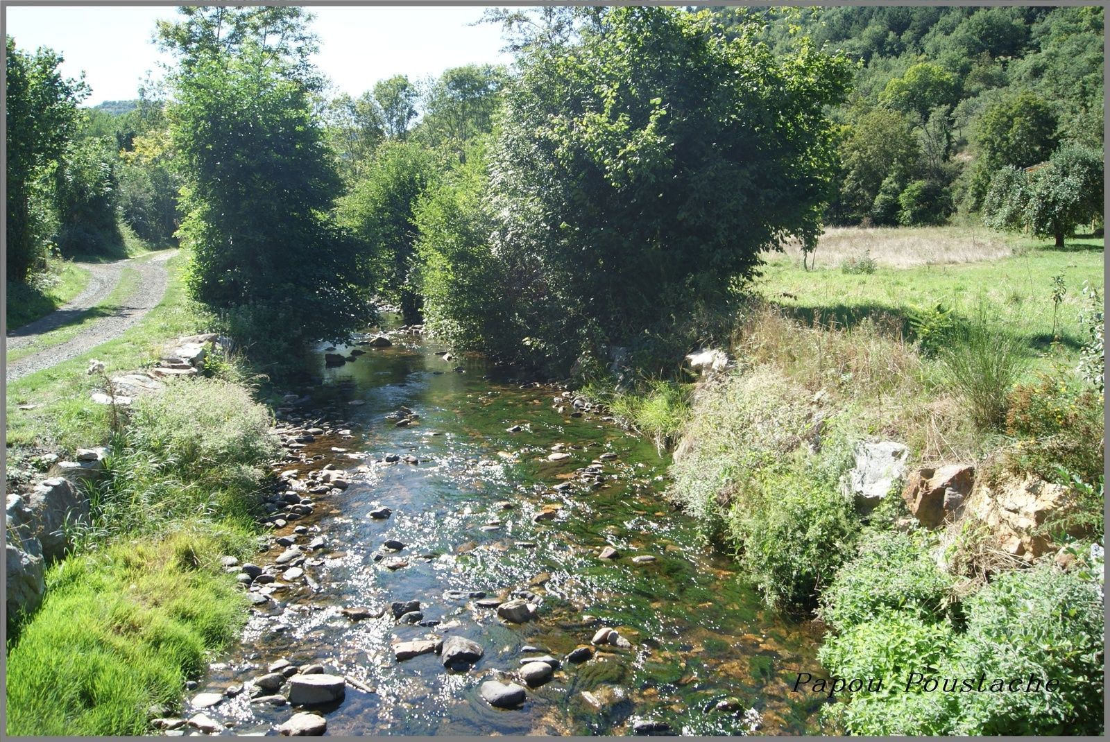 Le Bave - L'Auvergne Vue par Papou Poustache