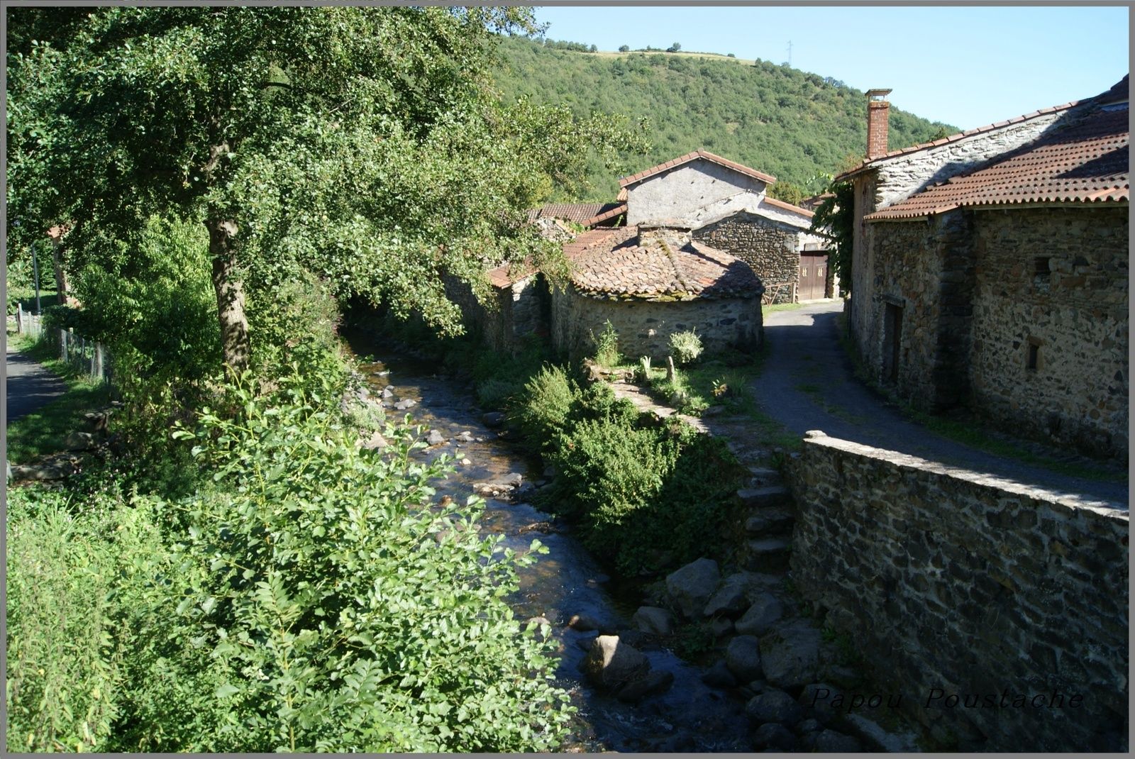 Le Bave - L'Auvergne Vue par Papou Poustache