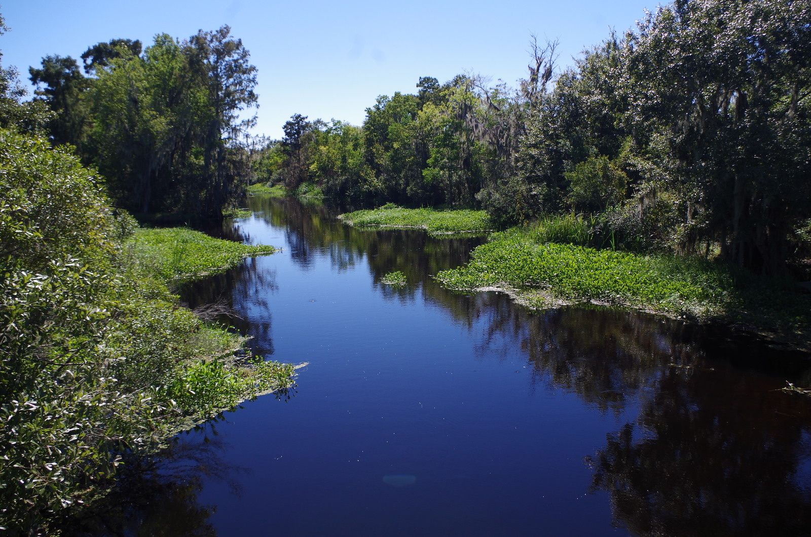 Jean Lafitte National Historical Park and Preserve - Barataria Preserve ...