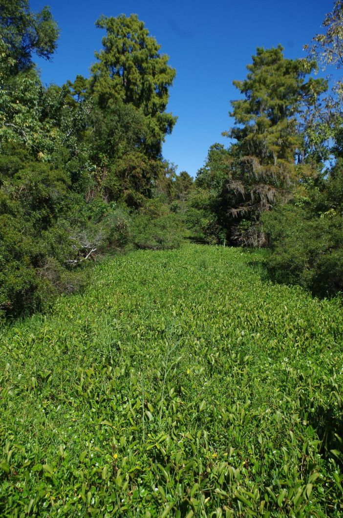 Jean Lafitte National Historical Park and Preserve - Barataria Preserve ...