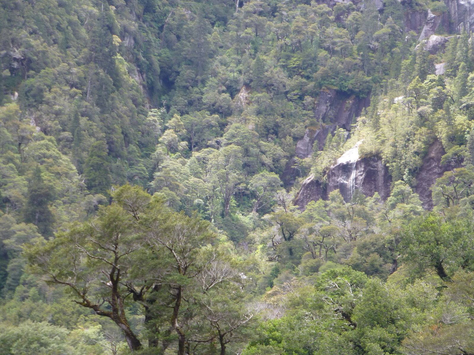 Carretera Austral, Puerto Montt to Coyhaique - Steph au Sud
