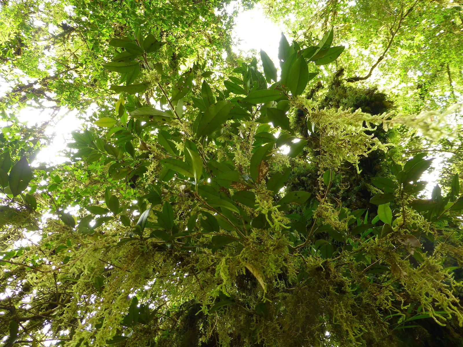 Carretera Austral, Puerto Montt to Coyhaique - Steph au Sud
