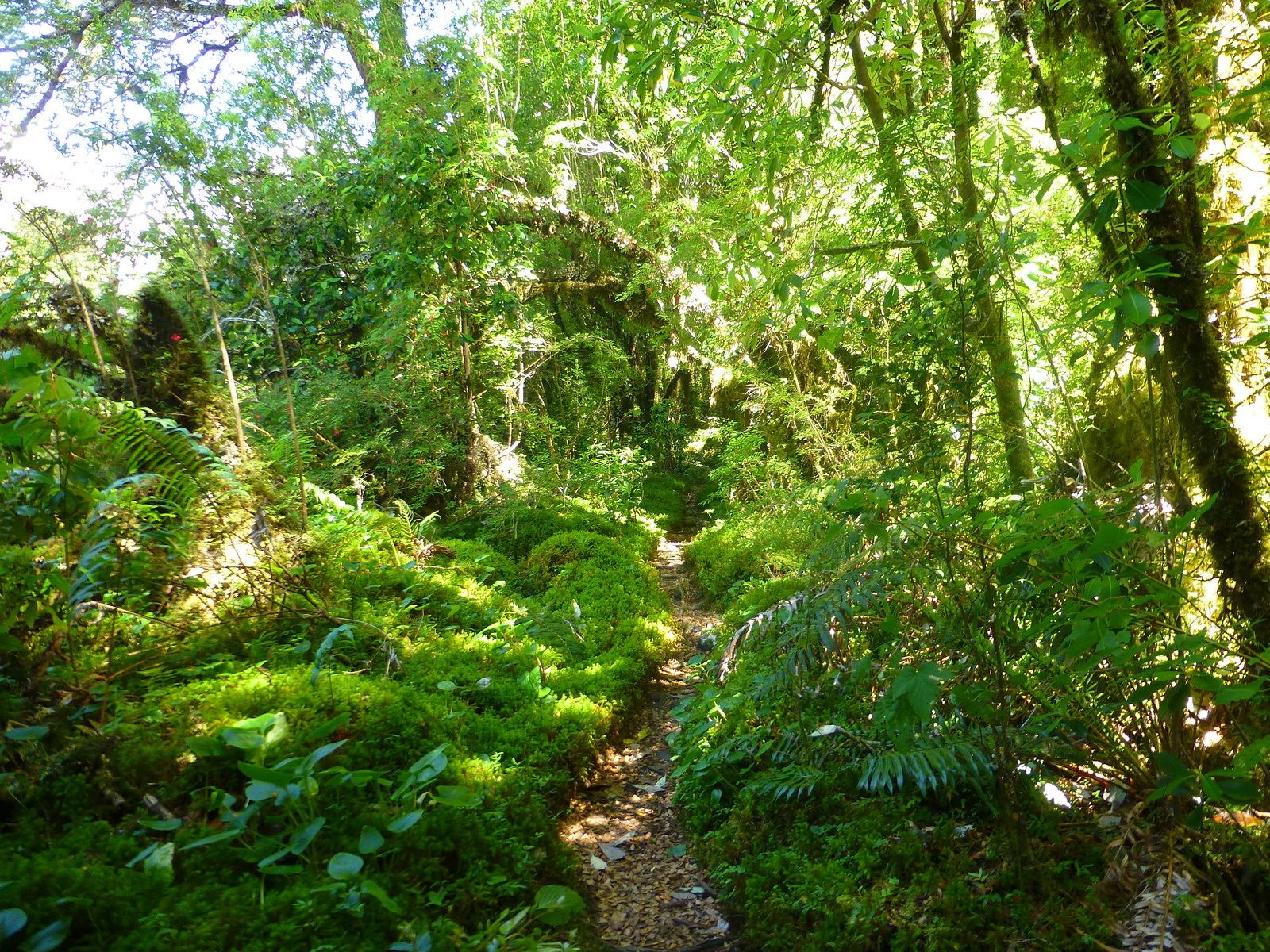 Carretera Austral, Puerto Montt to Coyhaique - Steph au Sud