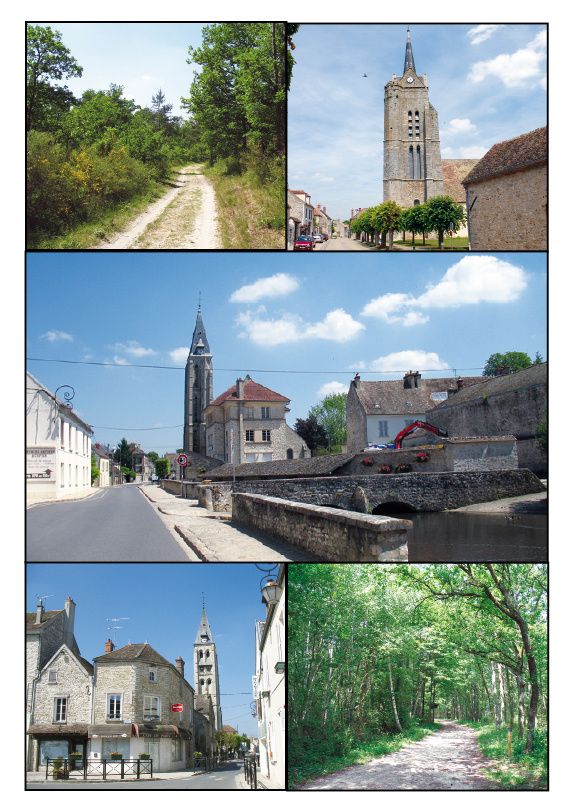 Rando : 91-04 - Milly-la-Forêt - Le bois de Malabri - jean-jacques Reynier