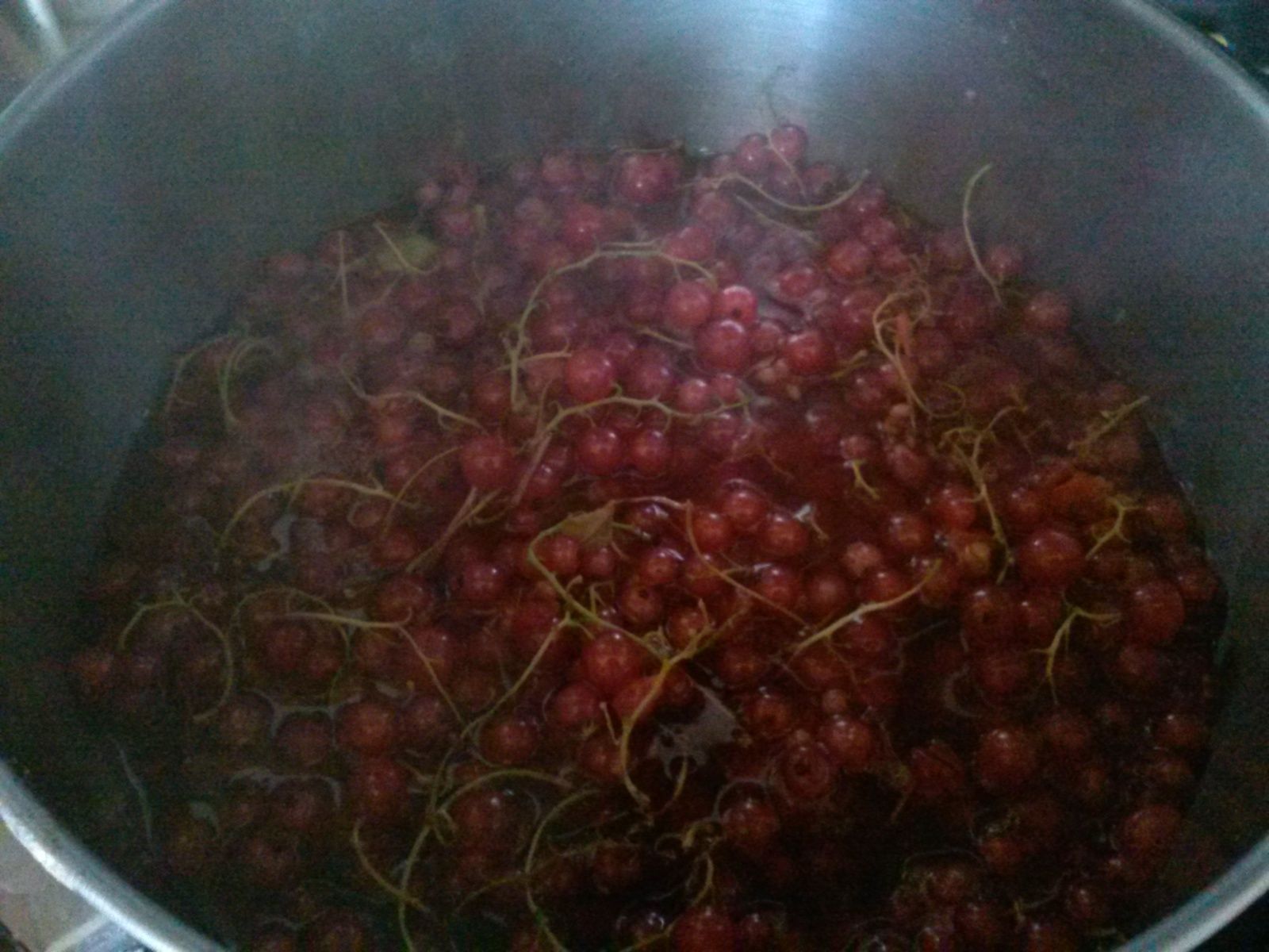 Recette du sirop de groseilles. - blogeusecompulsive.over-blog.com